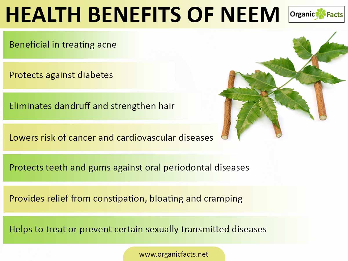 Neem Benefits Risks And How To Use My XXX Hot Girl Neem Benefits Risks And How To Use My XXX Hot Girl