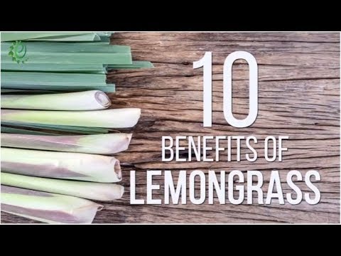 Lemongrass: Top Benefits, Uses, & Side Effects | Organic Facts