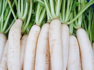 Benefits of Vegetables | Organic Facts