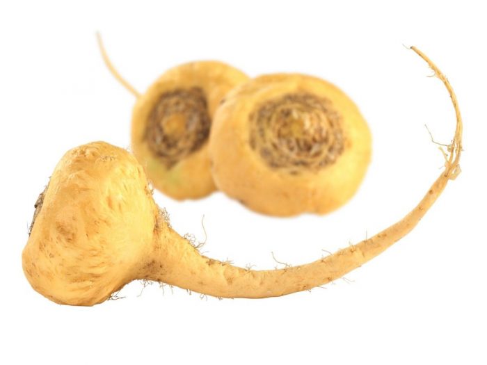 10 Amazing Maca Root Benefits & Nutrition | Organic Facts