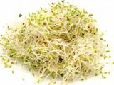 8 Ways to Control Potato Sprouts | Organic Facts