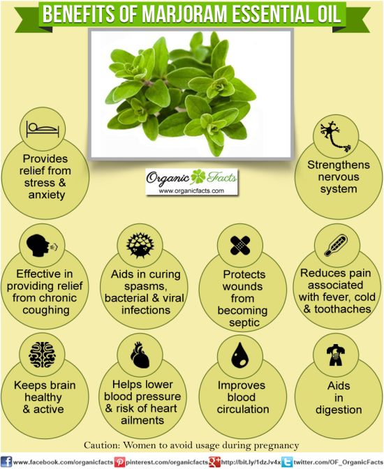 Health Benefits of Marjoram Essential Oil | Organic Facts Health Benefits of Marjoram Essential Oil | Organic Facts