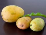 4 Best Benefits of African Mango | Organic Facts