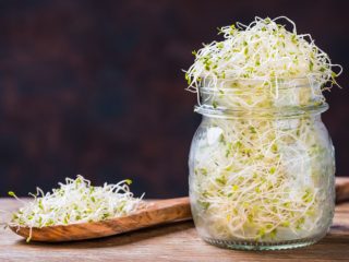 Top 13 Health Benefits Of Bean Sprouts For Better Nutrition