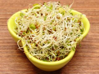 11 Wonderful Benefits of Alfalfa Sprouts | Organic Facts