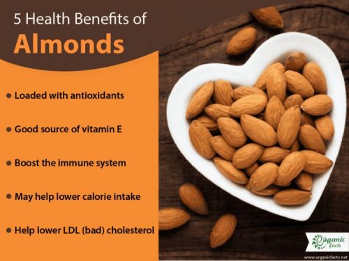 12 Nutrition-Based Health Benefits of Almonds | Organic Facts