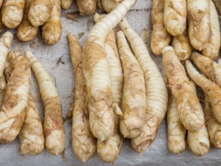 15 Interesting Benefits of Arrowroot | Organic Facts