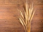 10 Best Benefits of Barley | Organic Facts