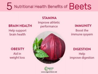 17 Amazing Health Benefits of Beets | Organic Facts