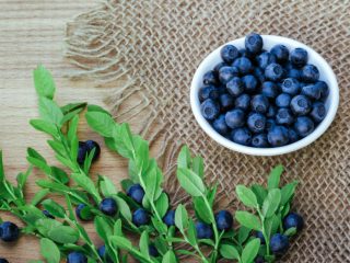 7 Surprising Benefits of Bilberry | Organic Facts