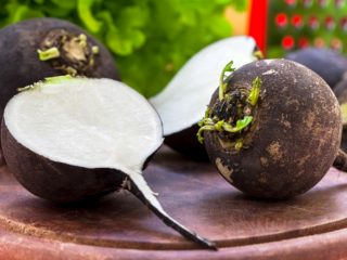 6 Amazing Benefits of Black Radish | Organic Facts