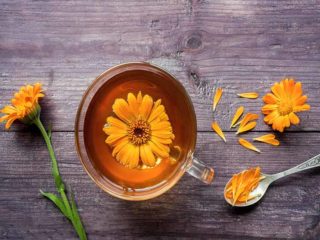 5 Proven Benefits of Calendula Tea | Organic Facts