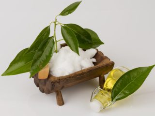 Scientifically Proven Benefits of Camphor Essential Oil: Skin, Pain ...