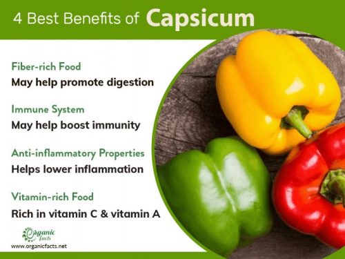 9 Powerful Health Benefits Of Capsicum | Organic Facts