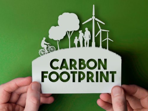 What Is Carbon Footprint | Organic Facts