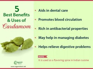 11 Evidence-Based Benefits of Cardamom | Organic Facts
