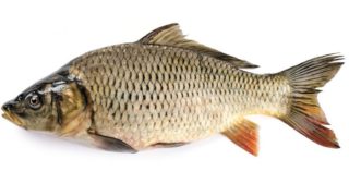 Health Benefits of Vodka