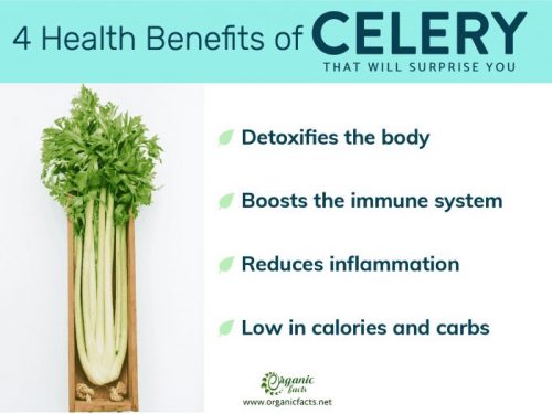 11 Incredible Celery Benefits & Nutrition Facts