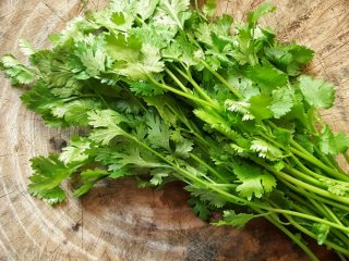 11 Surprising Health Benefits of Coriander | Organic Facts