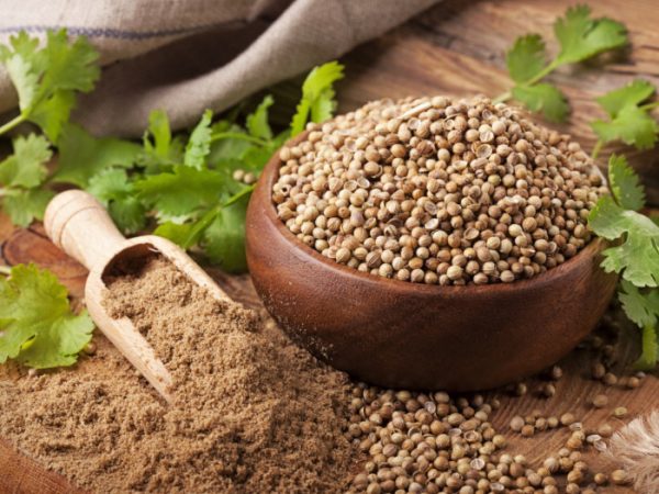 How To Make Fresh Coriander Powder | Organic Facts
