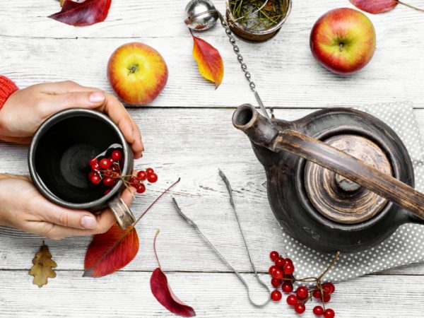 6 Best Benefits of Cranberry Tea | Organic Facts