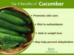 Cucumbers: Nutrition, Health Benefits, & Recipes | Organic Facts