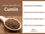 Cumin: Benefits, Uses & Side Effects | Organic Facts