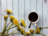 How To Make Dandelion Coffee | Organic Facts