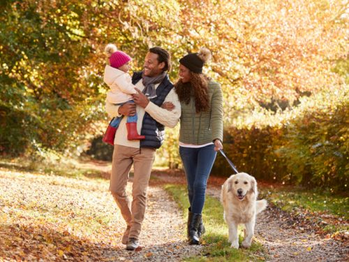 Easy Family Workout Ideas For Becoming Healthier | Organic Facts