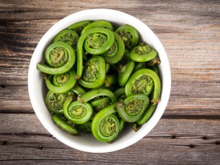 What Are Fiddleheads & How To Cook Them | Organic Facts