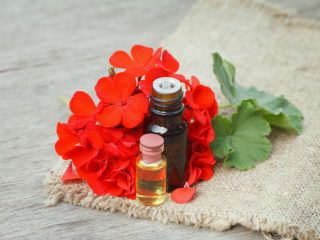 13 Incredible Benefits of Geranium Essential Oil | Organic Facts