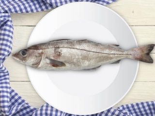 14 Best Benefits of Haddock | Organic Facts