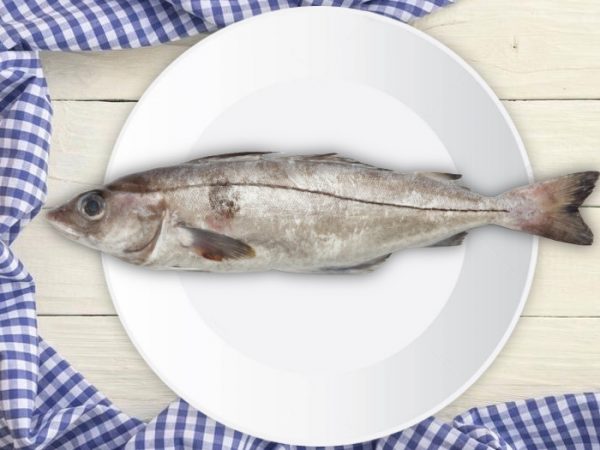 14 Best Benefits of Haddock | Organic Facts