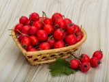 9 Impressive Hawthorn Benefits & Uses | Organic Facts
