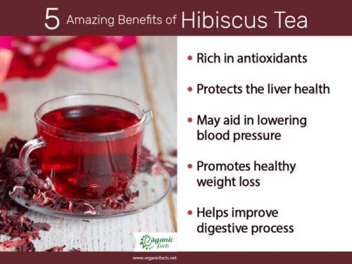 7 Amazing Hibiscus Tea Health Benefits | Organic Facts