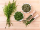 9 Impressive Benefits of Horsetail | Organic Facts
