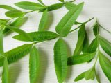 9 Amazing Benefits of Lemon Verbena | Organic Facts