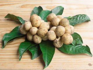 11 Wonderful Benefits of Longan Fruit & Its Nutrition Facts | Organic Facts