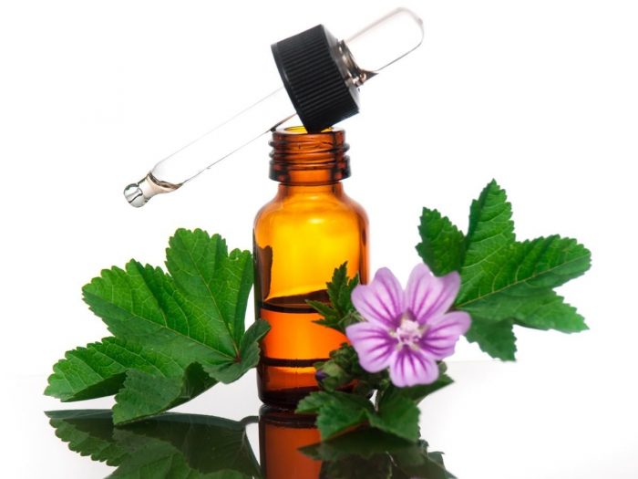 7 Amazing Benefits of Malva Sylvestris or Common Mallow | Organic Facts