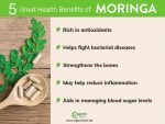 Science-Based Benefits & Uses of Moringa Oleifera | Organic Facts