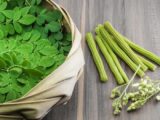 Moringa Tea: Health Benefits, How To Make, & Side Effects | Organic Facts