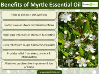 9 Best Benefits of Myrtle Essential Oil | Organic Facts