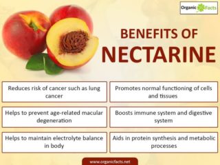 11 Surprising Benefits of Nectarines | Organic Facts