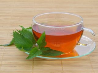 9 Health Benefits of Nettle Tea, How to Make it, & Its Side Effects ...