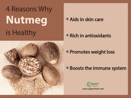 Nutmeg: Nutrition, Benefits, Uses, & Dosage | Organic Facts