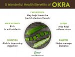 Top 5 Health Benefits of Okra | Organic Facts