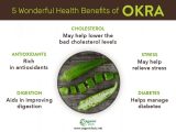 Top 5 Health Benefits of Okra | Organic Facts