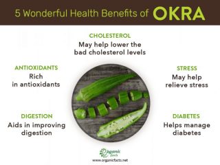 Top 5 Health Benefits of Okra | Organic Facts