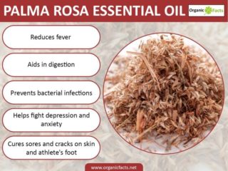 8 Surprising Benefits of Palma Rosa Essential Oil | Organic Facts