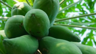 5 Incredible Benefits of Fruits | Organic Facts